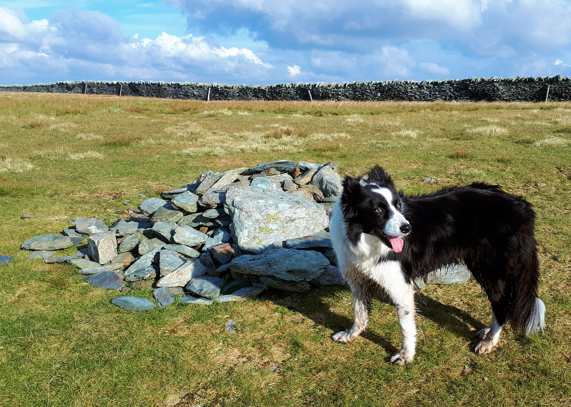 The Rhinogs | Where2Walk
